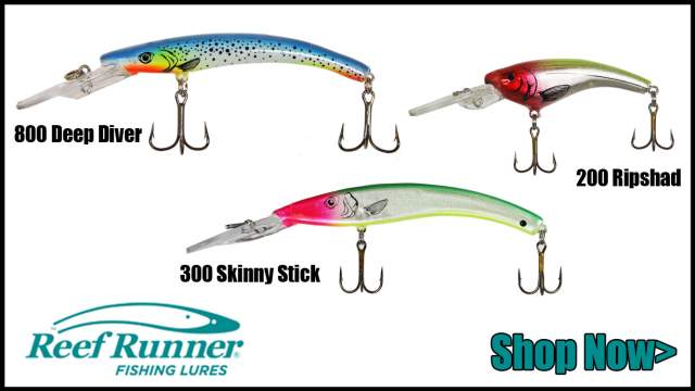 Shop Fishing Tackle | Lures | Lines | Gear | Rods | Reels - Precision ...